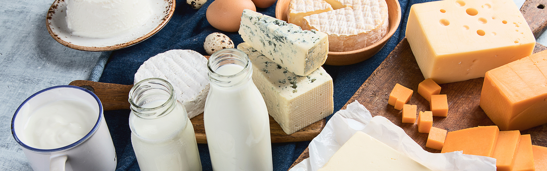 Dairies - GF Industry and Infrastructure Flow Solutions